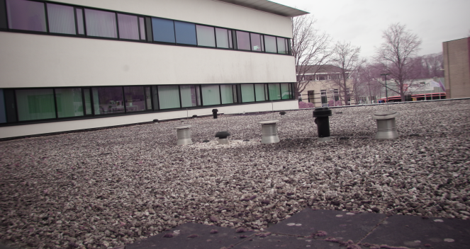 Implementing a visible camera for both daylight and lowlight vision ...