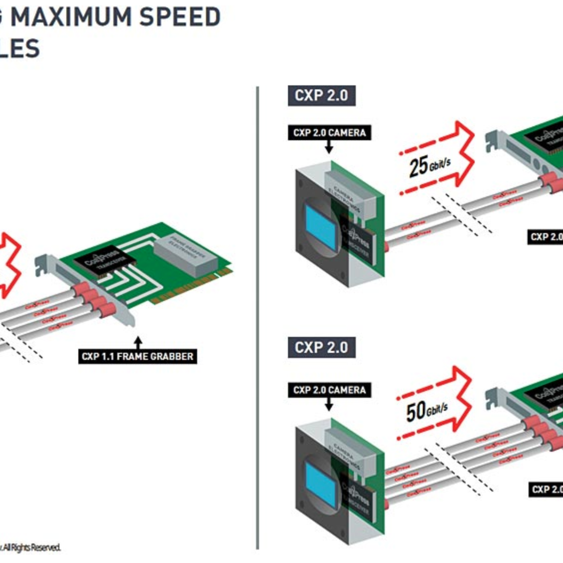 CoaXPress Archives - Adimec