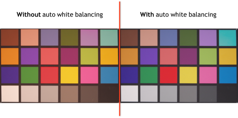TMX series part 3 – The influence of color processing on DRI - Adimec